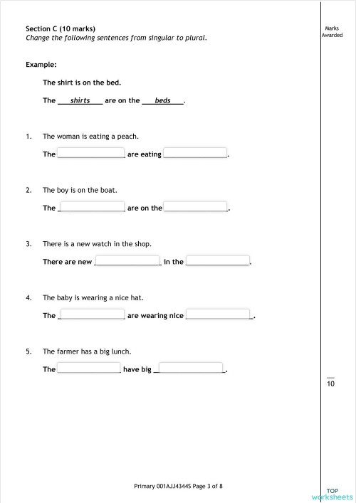 Plurals practice. Interactive worksheet | TopWorksheets