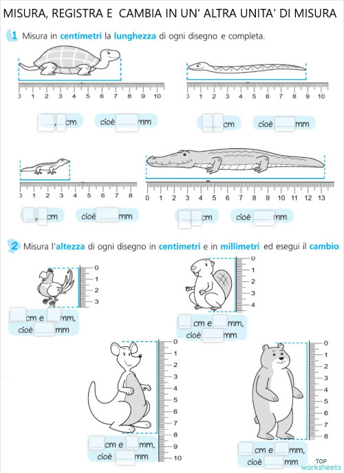 Misure di lunghezza: schede interattive ed esercizi online | TopWorksheets