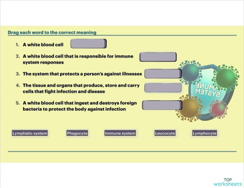 KTS- Science 1 Trim- Diseases. Interactive worksheet | TopWorksheets