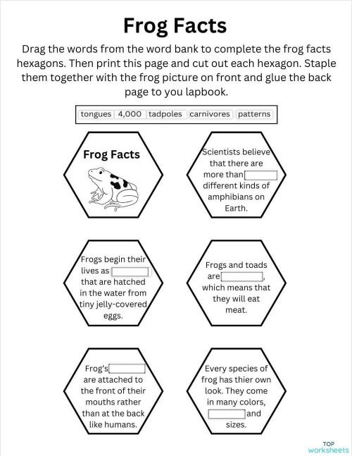 Frog Facts. Interactive worksheet | TopWorksheets