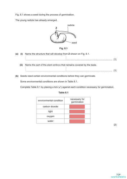 Revision 7. Interactive worksheet | TopWorksheets