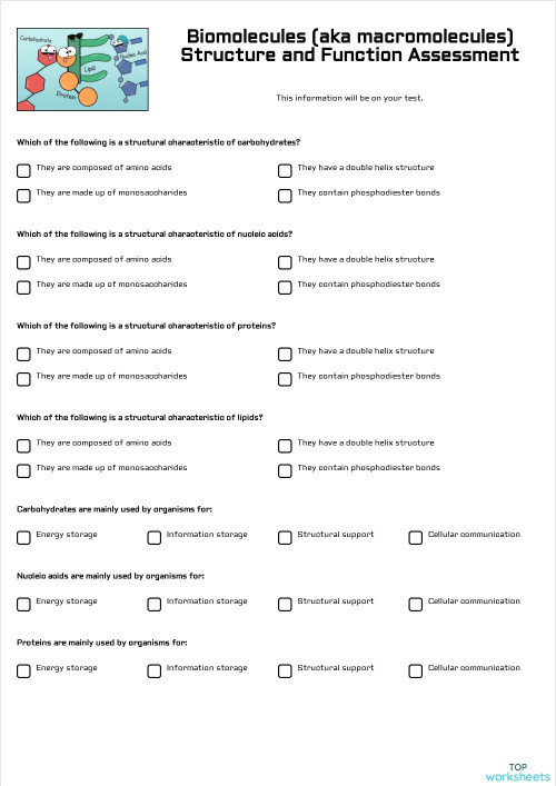 Biomolecules (aka macromolecules) Structure and Function Assessment ...