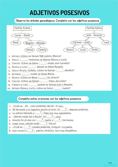 Los posesivos. Ficha interactiva | TopWorksheets