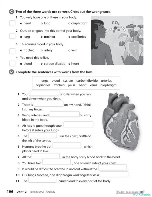 OD4 WB 106. Interactive worksheet | TopWorksheets