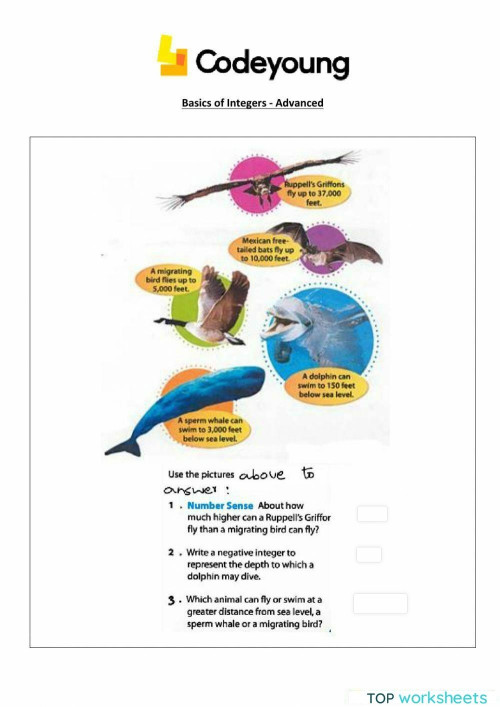 Basics of Integers Advanced. Interactive worksheet | TopWorksheets
