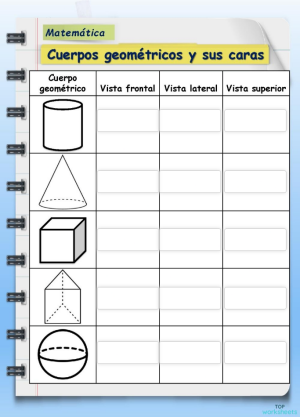 Los cuerpos geométricos y sus caras. Ficha interactiva | TopWorksheets
