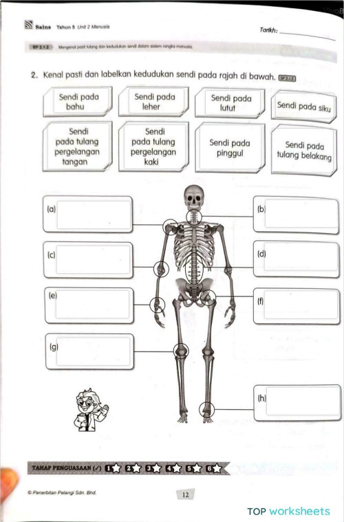 Unit 2 Sendi. Interactive worksheet | TopWorksheets
