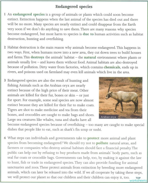 Endangered Species - Reading practice. Bài tập tương tác | TopWorksheets