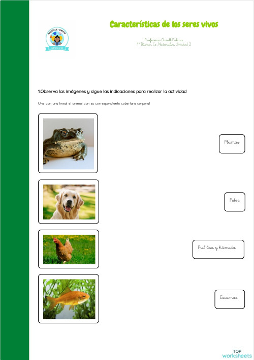 Los Seres Vivos Ficha De Actividad Teacher Made Reverasite Eroppa ...