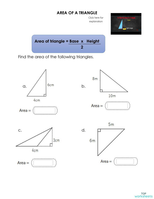 AREA OF A TRIANGLE. Interactive worksheet | TopWorksheets