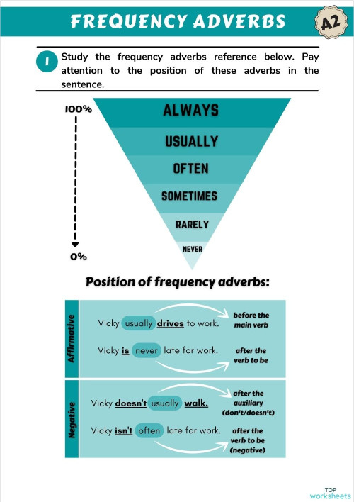 Adverbs of frequency. Interactive worksheet | TopWorksheets