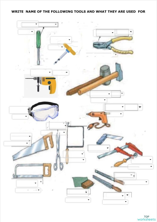 TOOLS IN WORKSHOP. Interactive worksheet | TopWorksheets