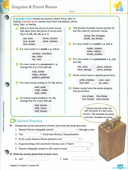 Lesson 25: Singular and Plural Nouns Pg 49. Interactive worksheet ...