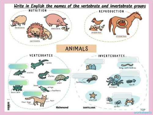 Classification of living things.pdf. Interactive worksheet | TopWorksheets