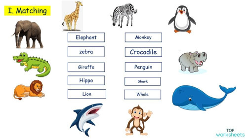 Animals -matching and fill the blanks. Interactive worksheet ...