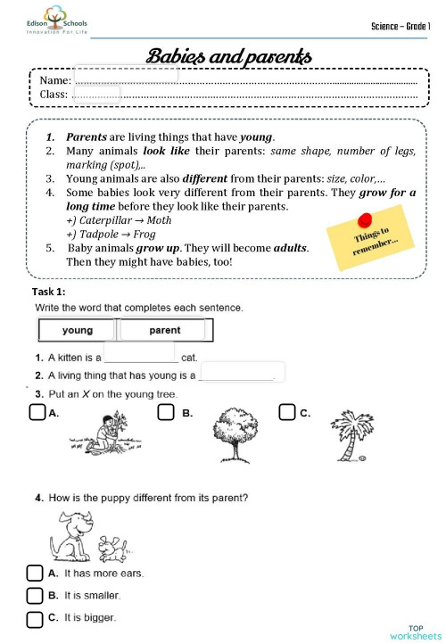 Science 1 - Week 20 - Babies and parents. Interactive worksheet ...