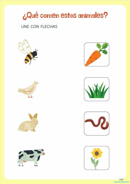 ¿Qué comen estos animales. Ficha interactiva | TopWorksheets