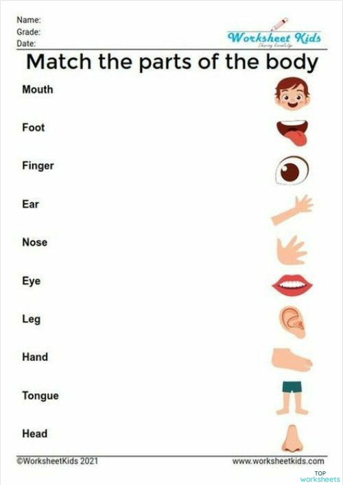 match body parts. Ficha interativa | TopWorksheets