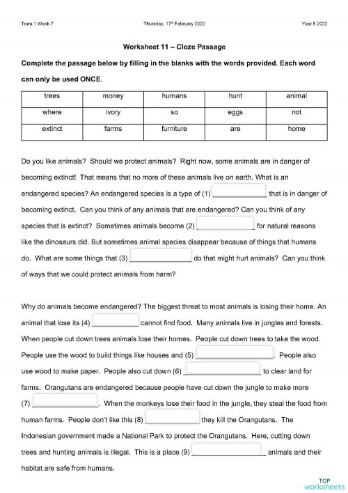 Worksheet 11 - Cloze Passage. Interactive worksheet | TopWorksheets