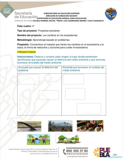 Ecosistemas: fichas interactivas y ejercicios online | TopWorksheets