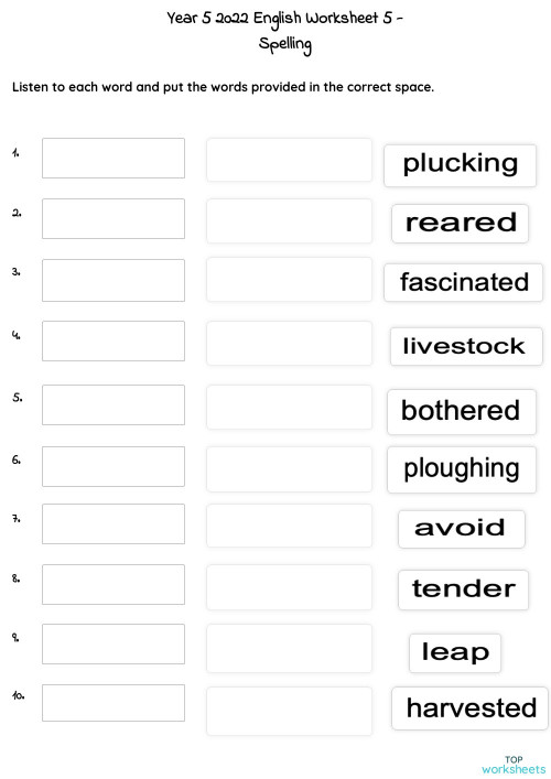 Y5Educated English Worksheet 5 - Spelling. Interactive worksheet ...