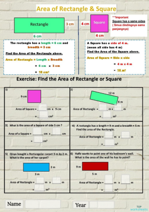Area of Rectangle & Square. Interactive worksheet | TopWorksheets