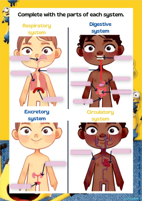 Unit 3. Our bodies.. Interactive worksheet | TopWorksheets