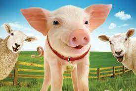The Sheep Pig Chapter 3. Interactive worksheet | TopWorksheets