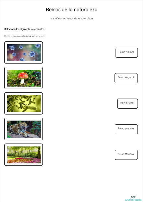 Reinos de la naturaleza. Ficha interactiva | TopWorksheets