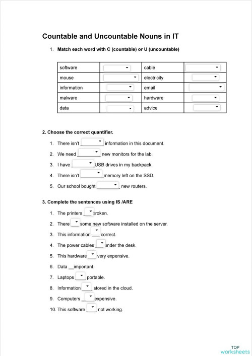 Countable and Uncountable IT words. Interactive worksheet | TopWorksheets