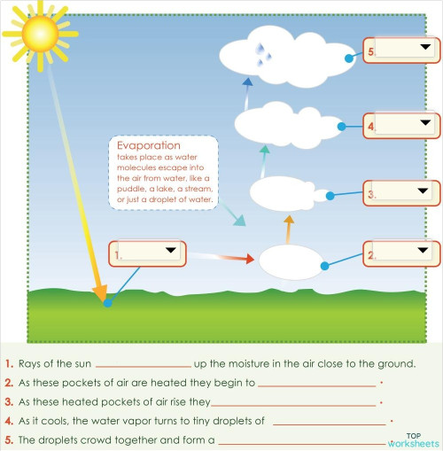 How Clouds Form. Interactive worksheet | TopWorksheets