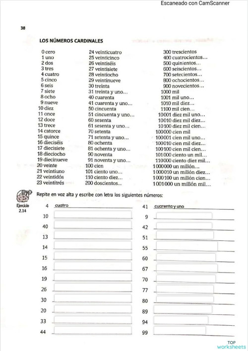 Los números cardinales. Ficha interactiva | TopWorksheets