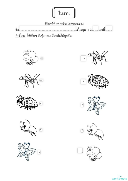 จับคู่ภาพเหมือนแมลง ใบงานเชิงโต้ตอบ Topworksheets