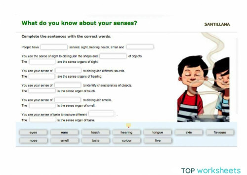 What dou you know about your senses?. Interactive worksheet | TopWorksheets