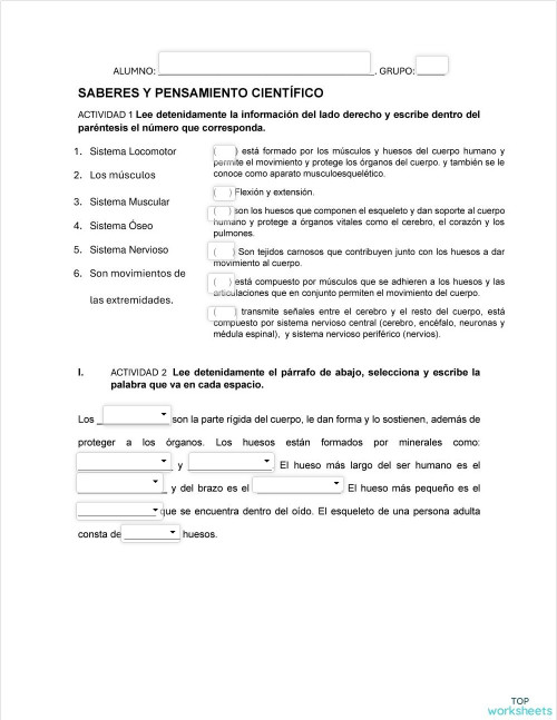 CUERPO HUMANO. Ficha interactiva | TopWorksheets