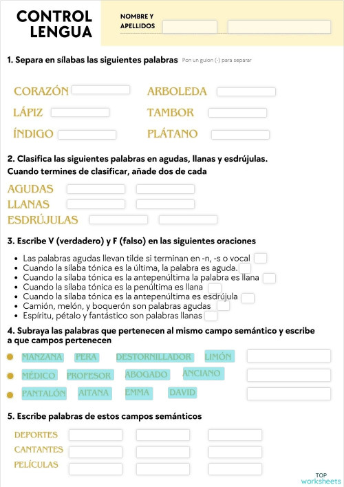 CONTROL REPASO DE LENGUA. Ficha interactiva | TopWorksheets