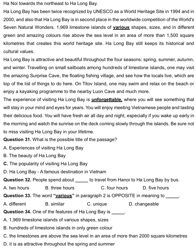 READING MULTIPLE CHOICE 16. Interactive worksheet | TopWorksheets
