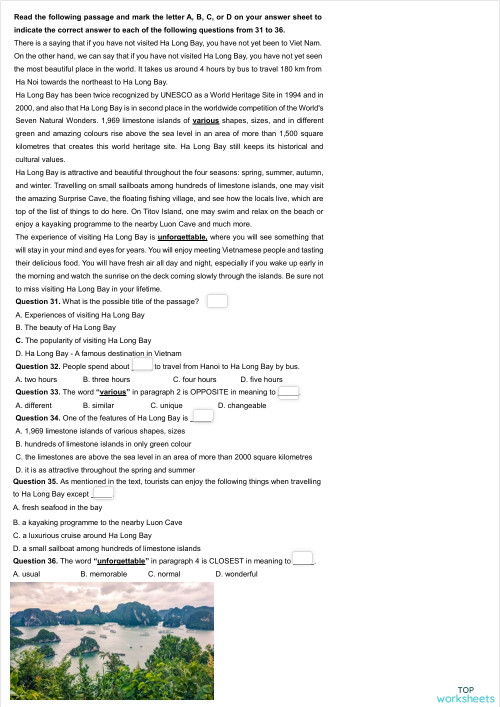 READING MULTIPLE CHOICE 16. Interactive worksheet | TopWorksheets