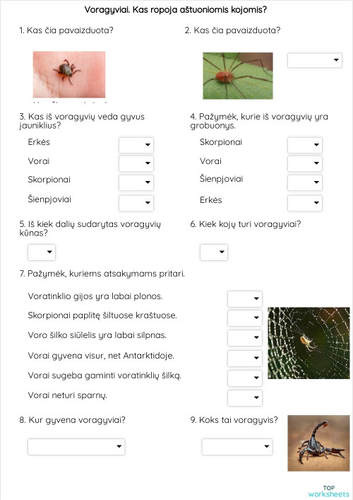 Voragyviai. Kas ropoja aštuoniomis kojomis?. Interactive worksheet ...