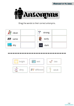 Antonyms, Abbreviations, and Contractions Quiz. Interactive worksheet ...