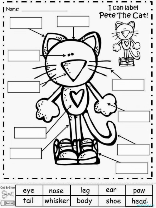 Cat body part. Interactive worksheet | TopWorksheets