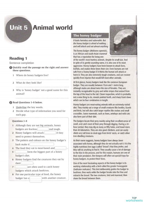 Complete IELTS U5 - Part 1. Interactive worksheet | TopWorksheets