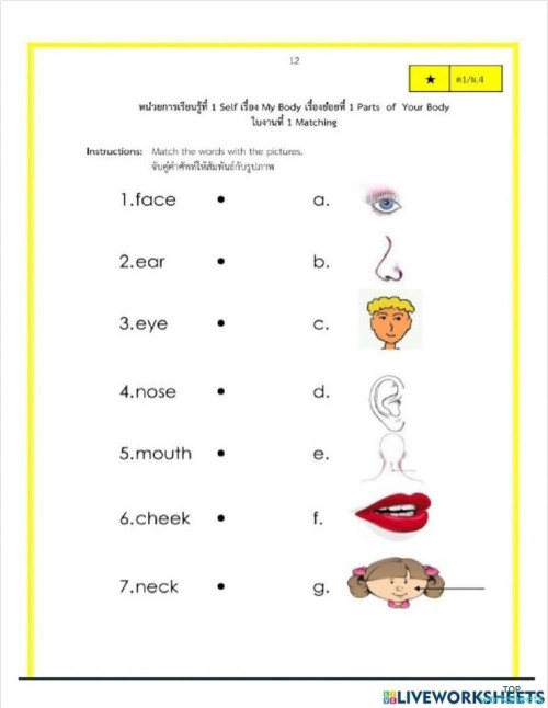 Matching body ใบงานเชิงโต้ตอบ | TopWorksheets