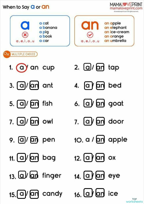 a/an worksheet. Interactive worksheet | TopWorksheets
