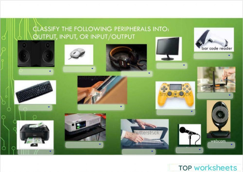 Peripherals. Interactive worksheet | TopWorksheets