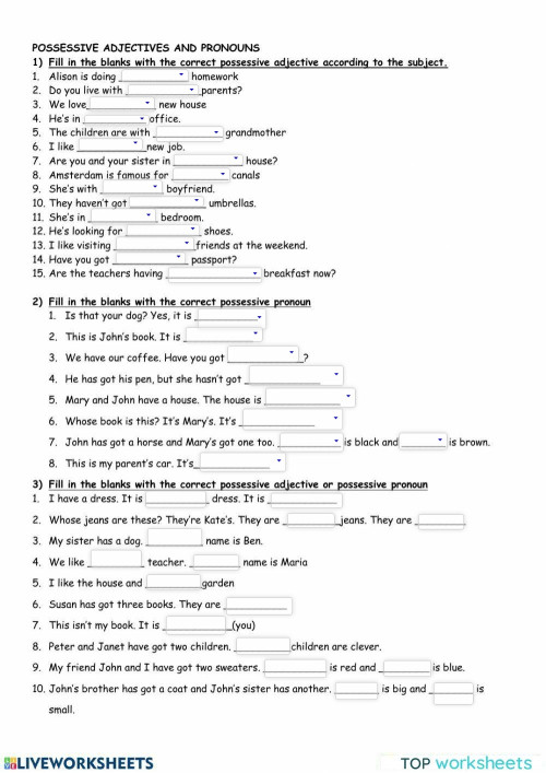 possessive prnonuns-adjectives. Interactive worksheet | TopWorksheets
