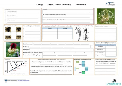 Evolution Summary Sheet. Interactive worksheet | TopWorksheets