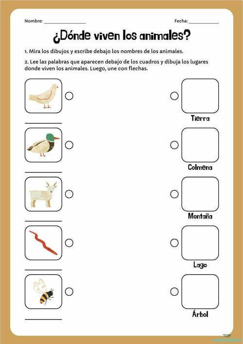 Hoja de trabajo ejercicio para unir animales y dónde viven simple ...