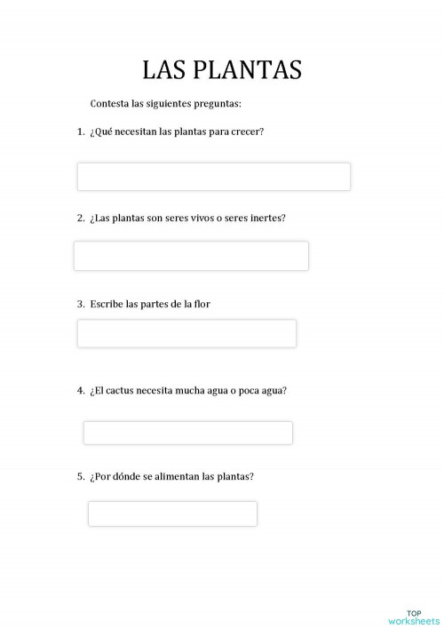 Las Plantas. Ficha interactiva | TopWorksheets