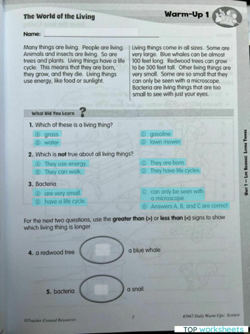 Science: Daily Warm-Up 1: Life Science. Interactive worksheet ...